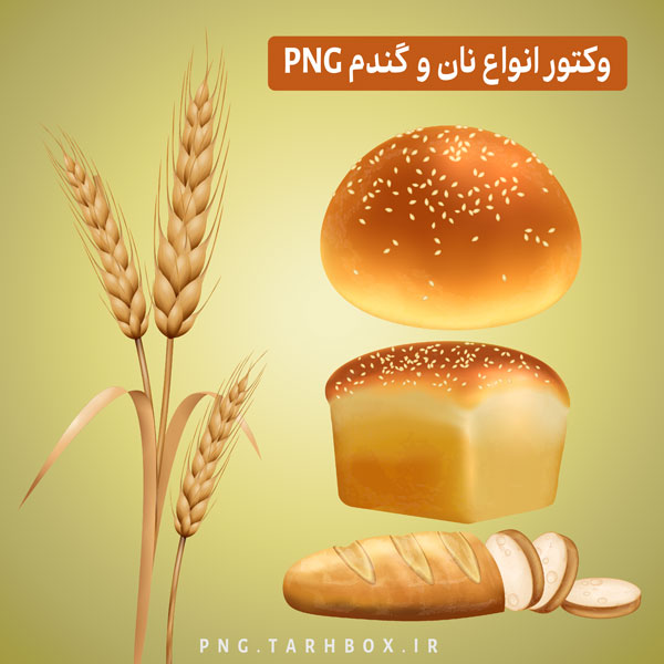 دانلود وکتورهای نان فانتزی و گندم Png پی ان جی باکس